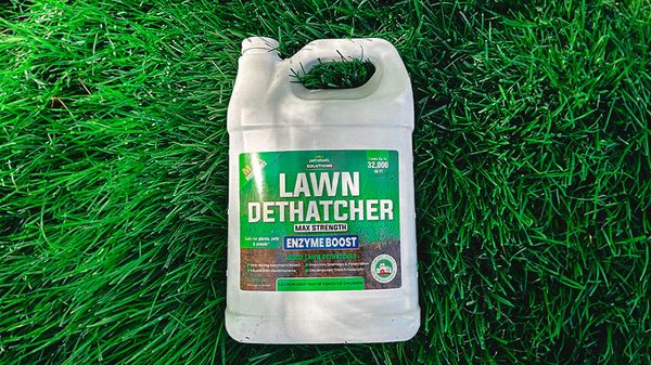 Revive Your Lawn: Liquid Lawn Dethatching Explained