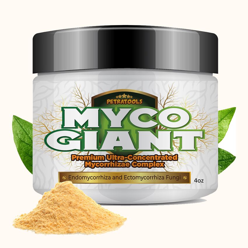 Myco-what? Do Your Plants Need Mycorrhizal Fungi?