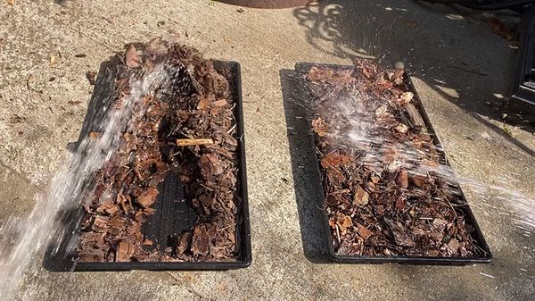 Moldy Mulch? Here's An Effective Way To Fix It