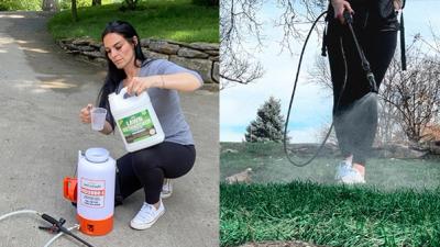 Revive Your Lawn: Liquid Lawn Dethatching Explained