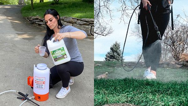 Revive Your Lawn: Liquid Lawn Dethatching Explained