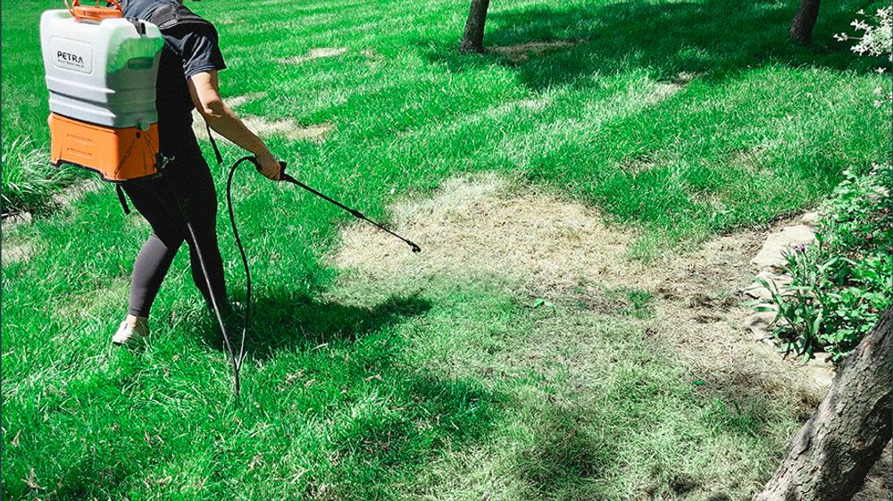 Grass Paint – Yes, It’s A Real Thing