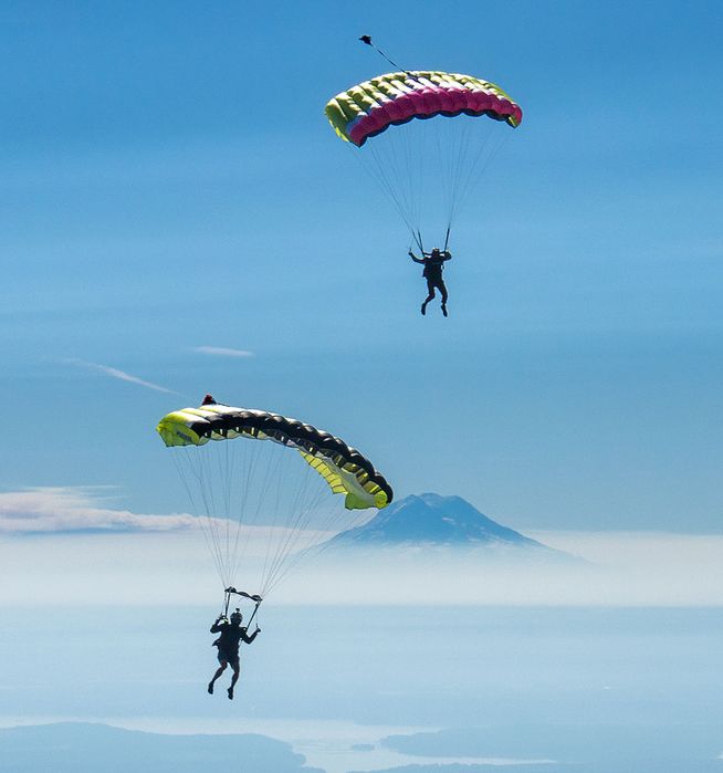 Wingsuit skydiving parachute: Omicron | Squirrel