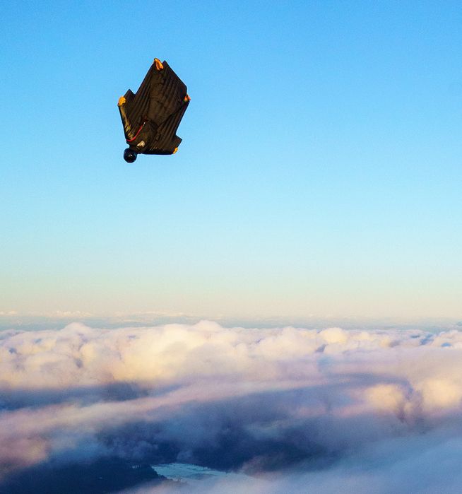 BASE jumping gear: BASE jumping parachute: Creature | Squirrel