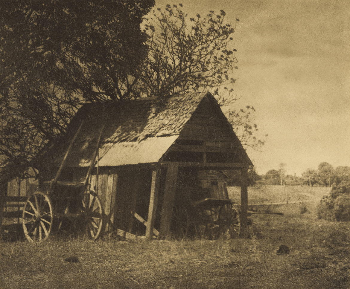 Rose Simmonds — A nostalgia for Queensland’s pastoral past – QAGOMA ...