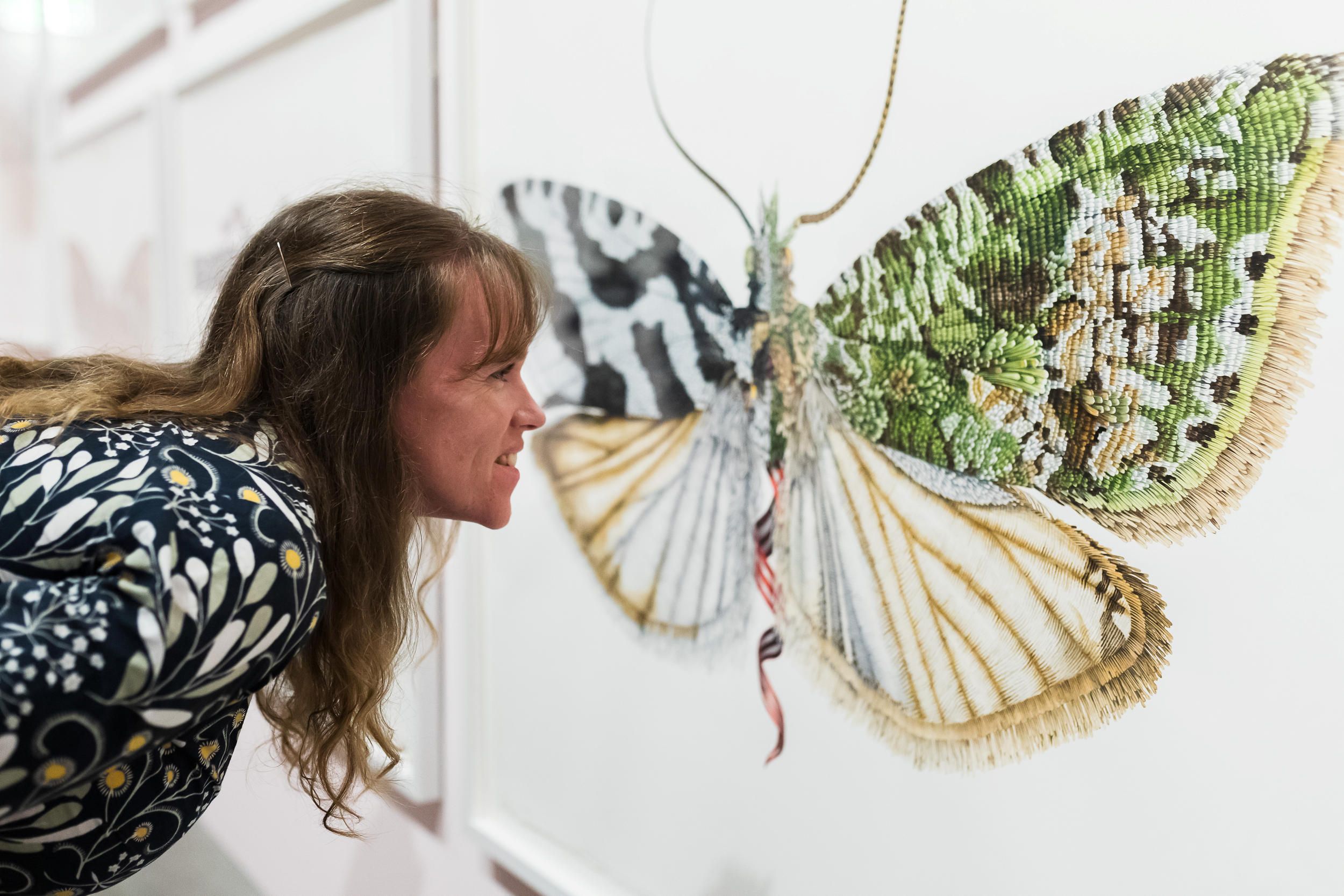 eX de Medici – Queensland Art Gallery | Gallery of Modern Art