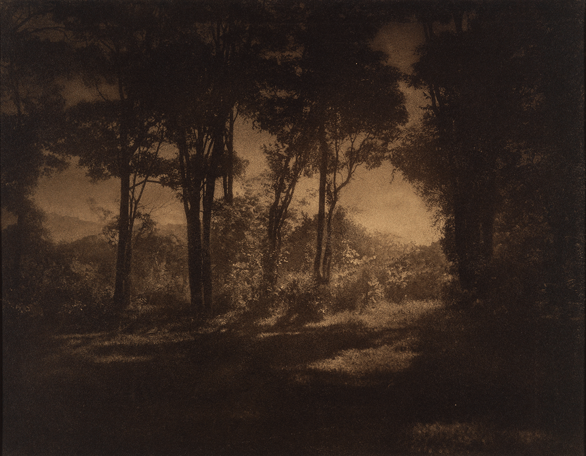 Rose Simmonds — A nostalgia for Queensland’s pastoral past – QAGOMA ...