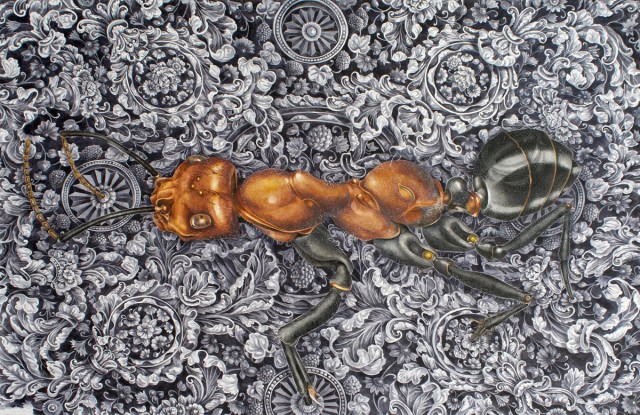 eX de Medici – Queensland Art Gallery | Gallery of Modern Art