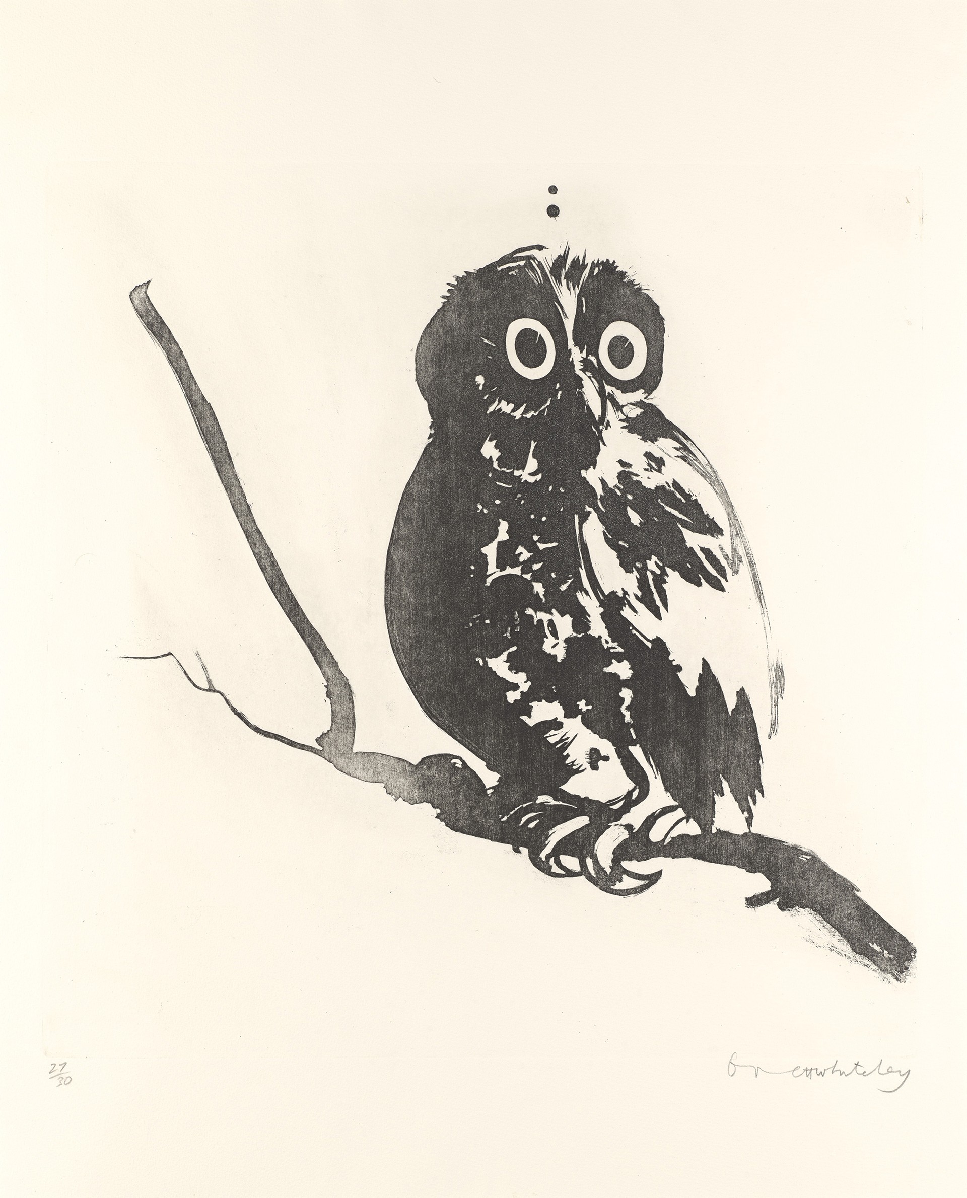 Birds regularly appear in Brett Whiteley’s paintings – QAGOMA Stories ...