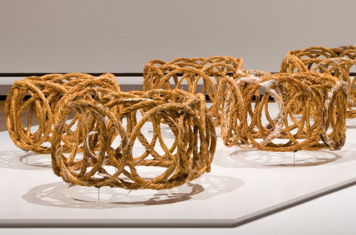Lecture: 'Gone Fishing' – Queensland Art Gallery | Gallery of Modern Art