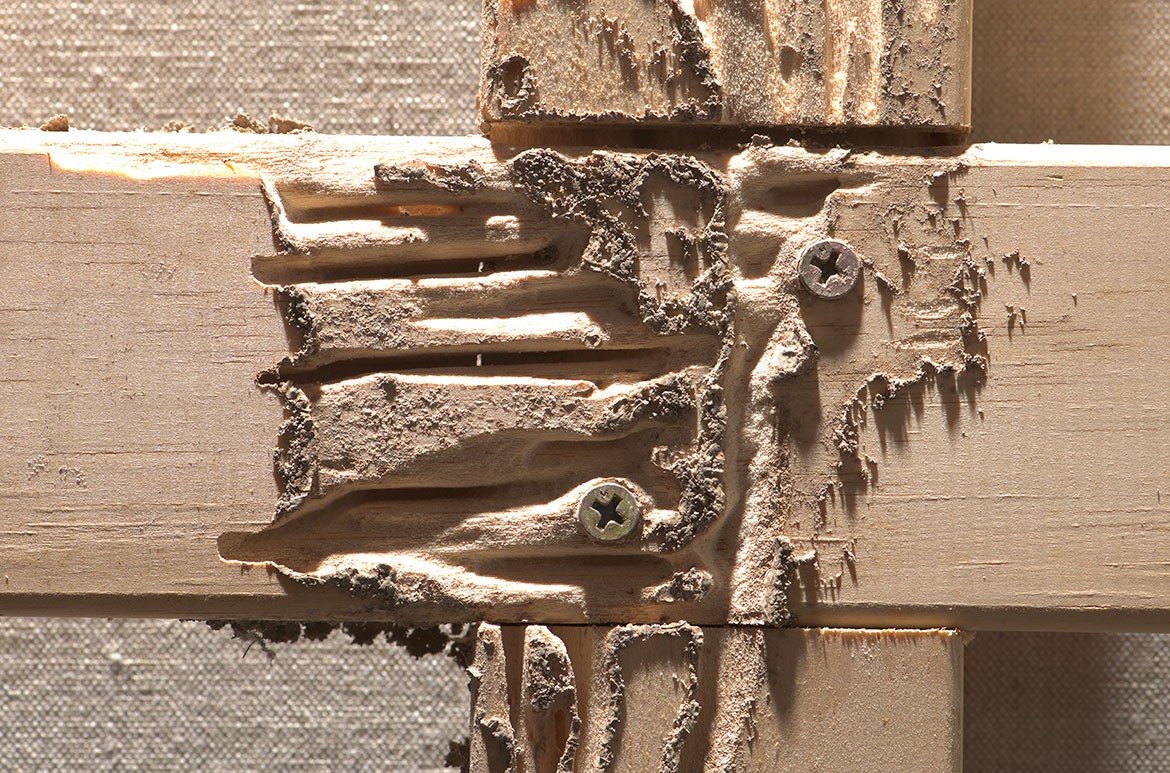 Queensland Art Gallery | Gallery of Modern Art