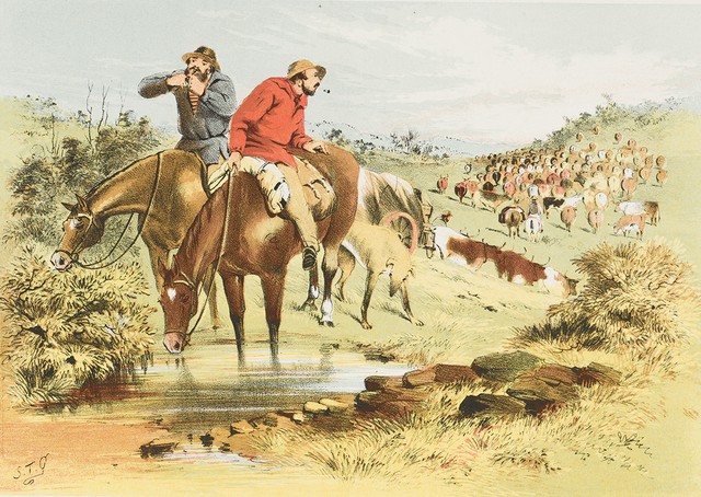The horse — our companion & muse – QAGOMA Stories – Queensland Art ...
