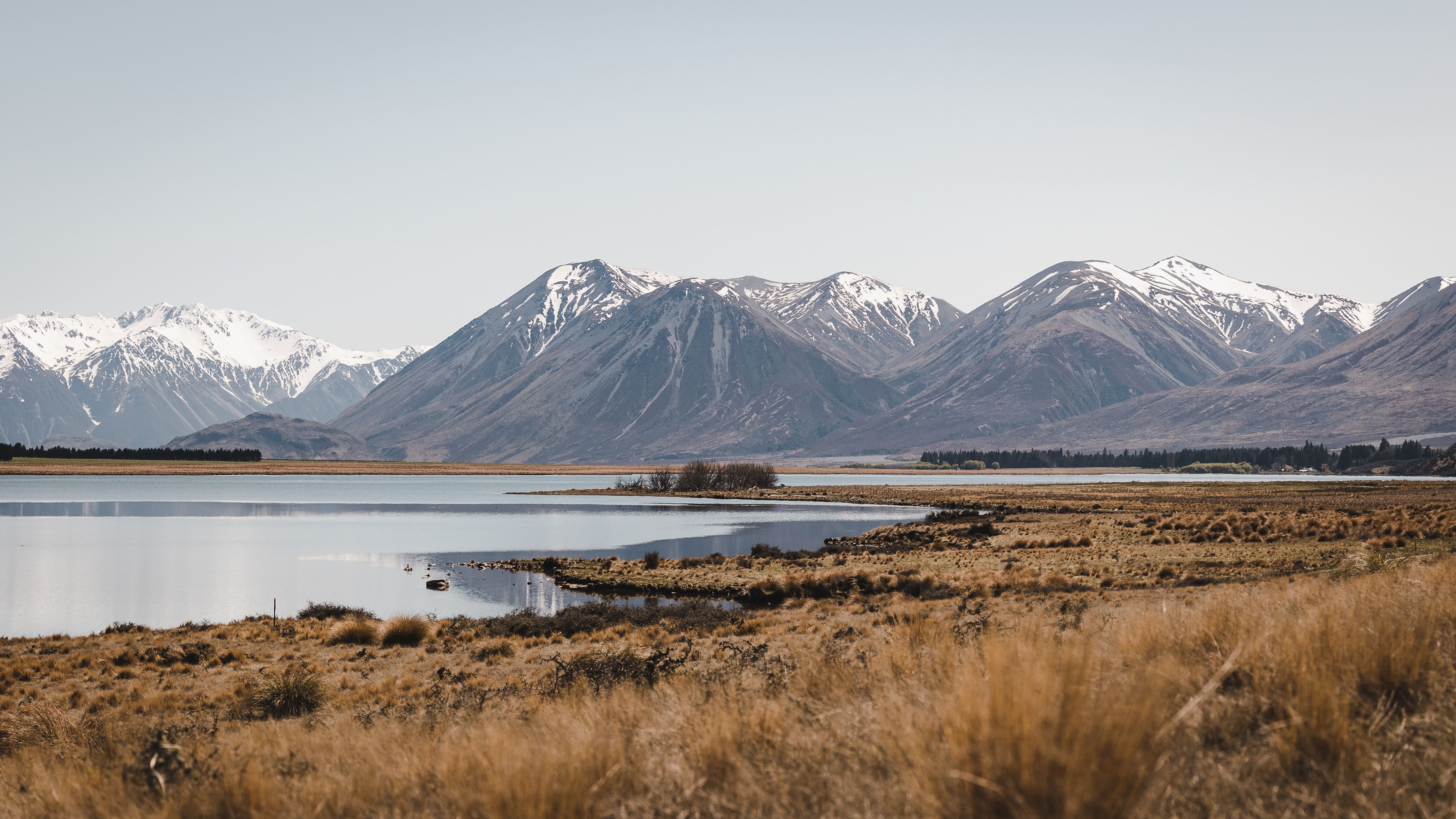 Toitū Envirocare’s 2025 climate and business trends