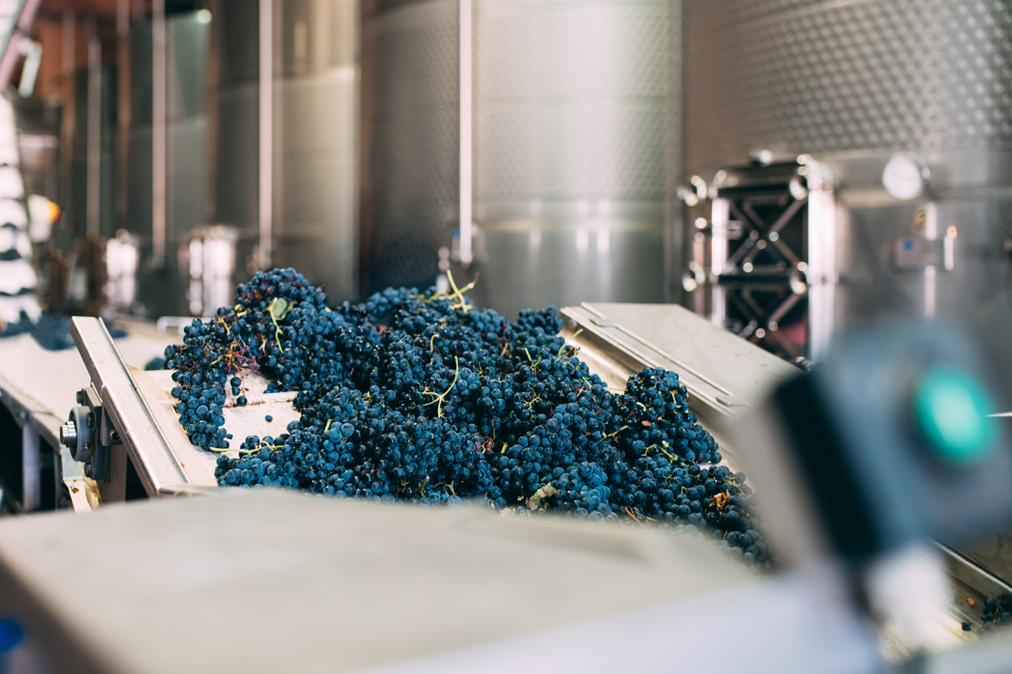 Explainer series: 10 principles of low-carbon business growth