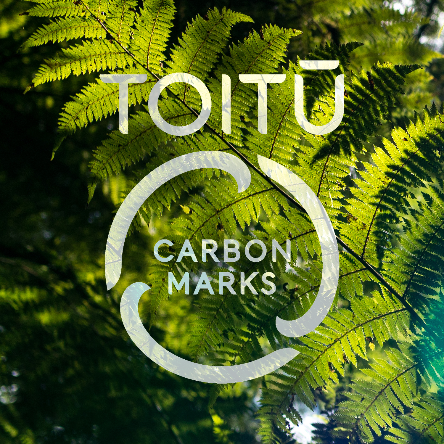 Toitū Climate Impact Certification | NZ's leading emissions standard