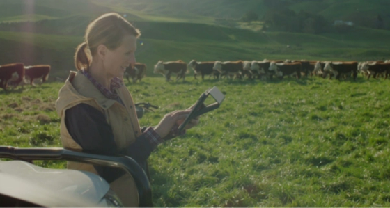 Silver Fern Farms | Certification Overview