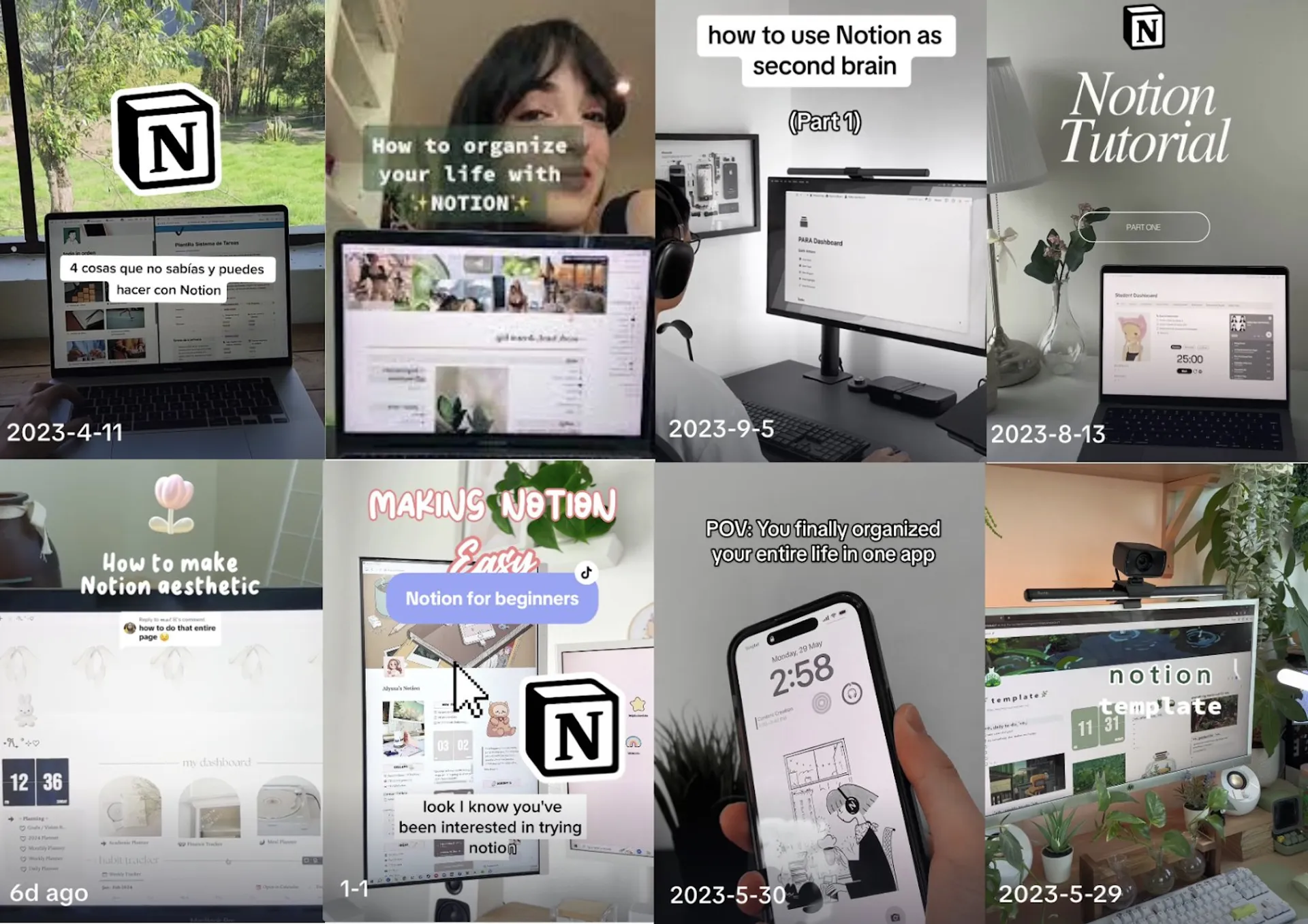 Notion | First Round
