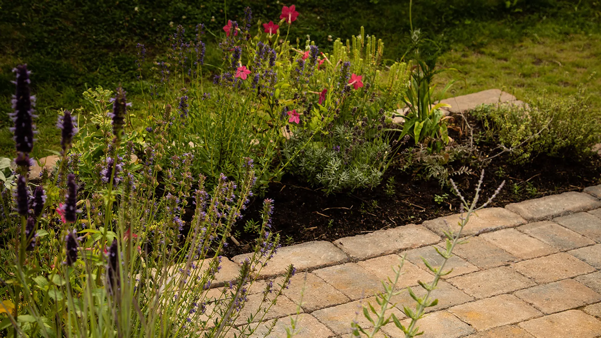 Blomsterbed inspirasjon | XL BYGG