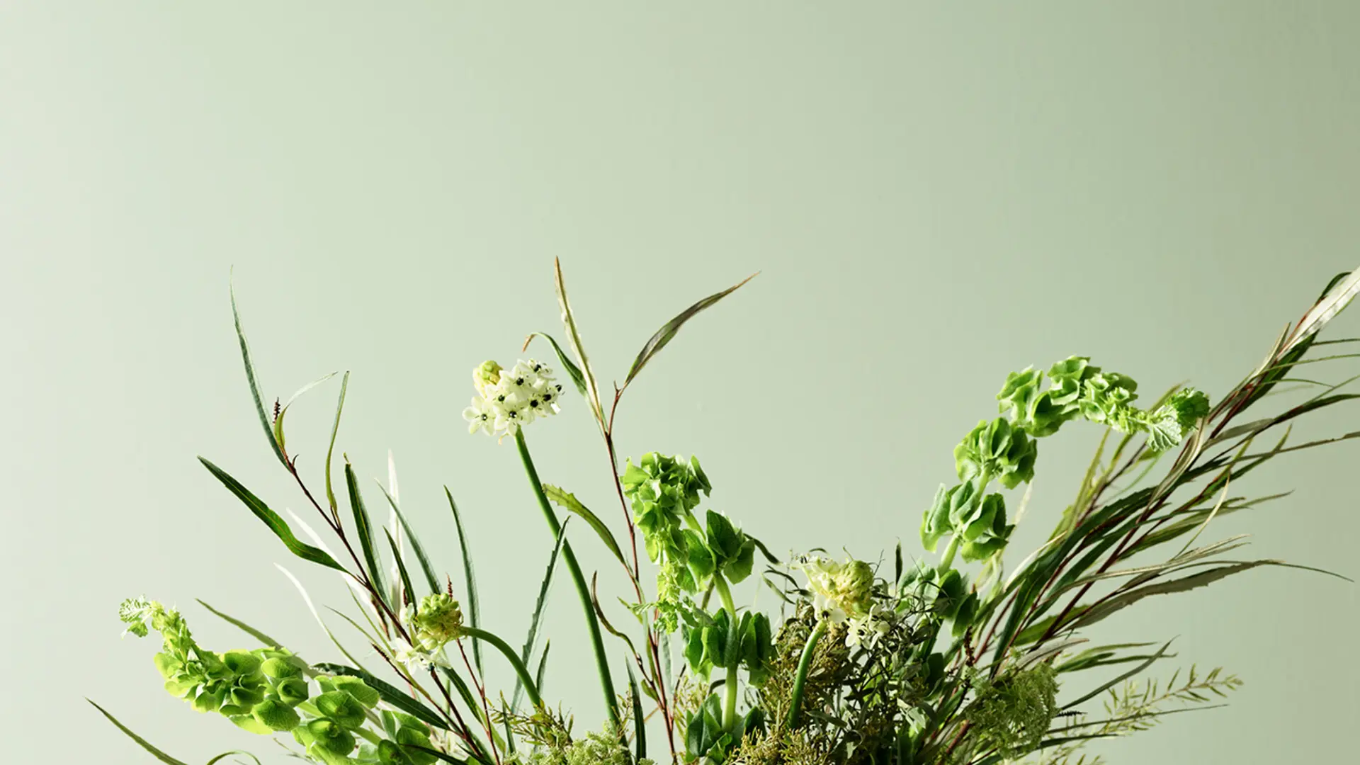 Sesongens fargekart for maling inne | XL BYGG