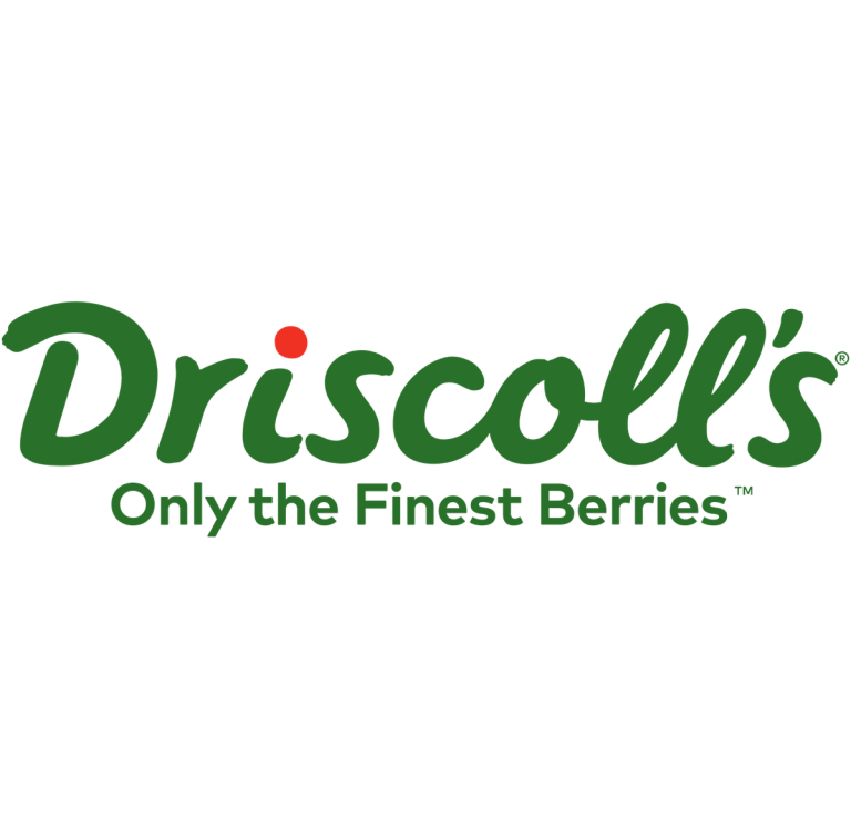 Flexible Onsite Power Solutions | Mainspring Energy | Mainspring Energy