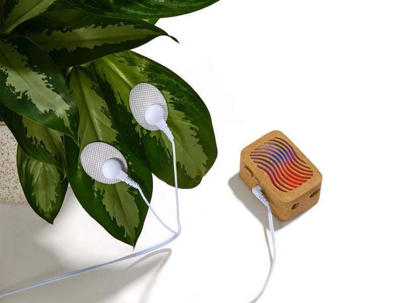 A User-Friendly Device That Creates Ambient Music With Plants | The ...