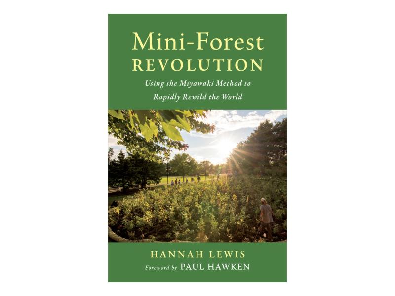 Hannah Lewis on the Burgeoning “Mini-Forest Revolution” | The Slowdown