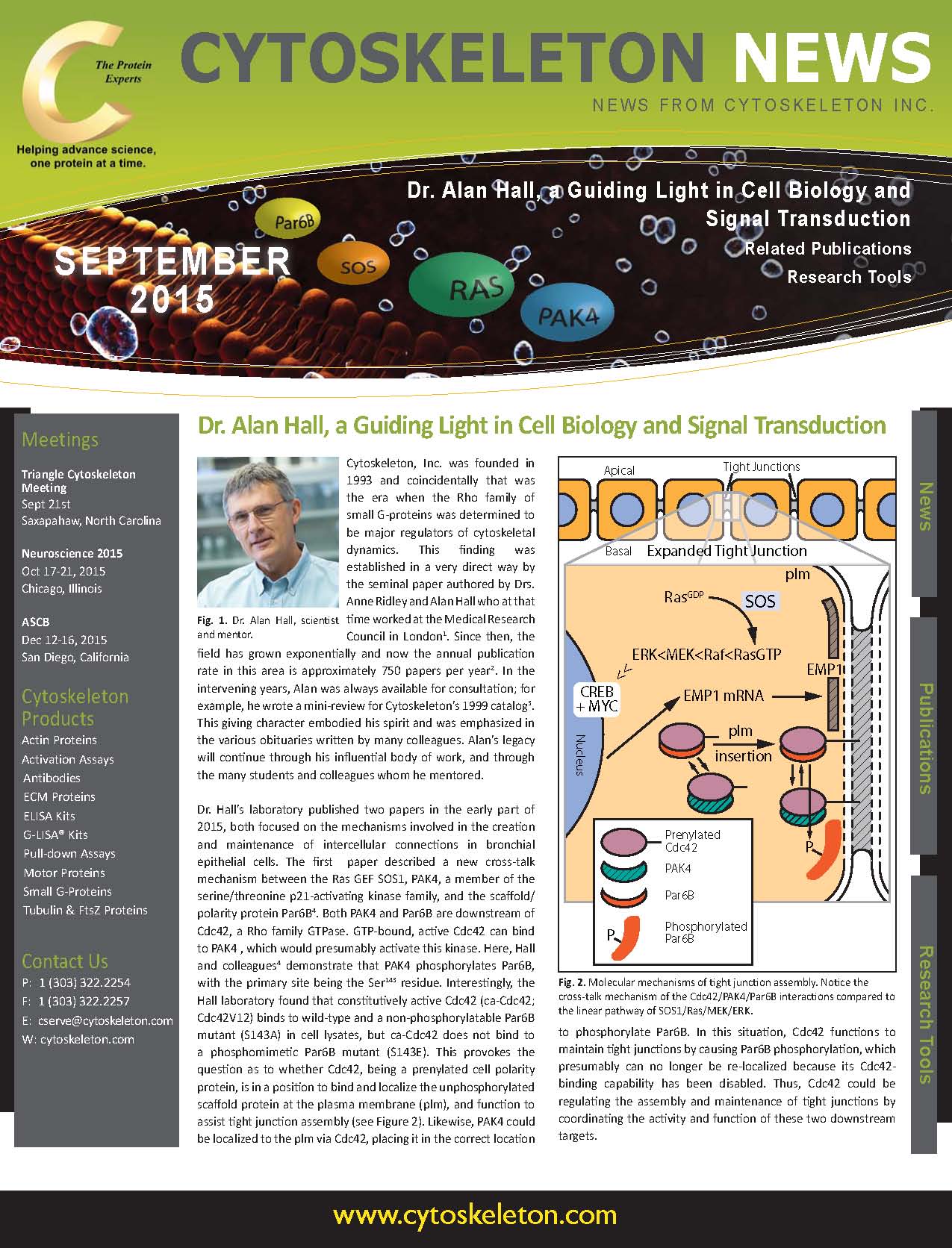 Dr. Alan Hall - GTPase Legacy | Cytoskeleton, Inc