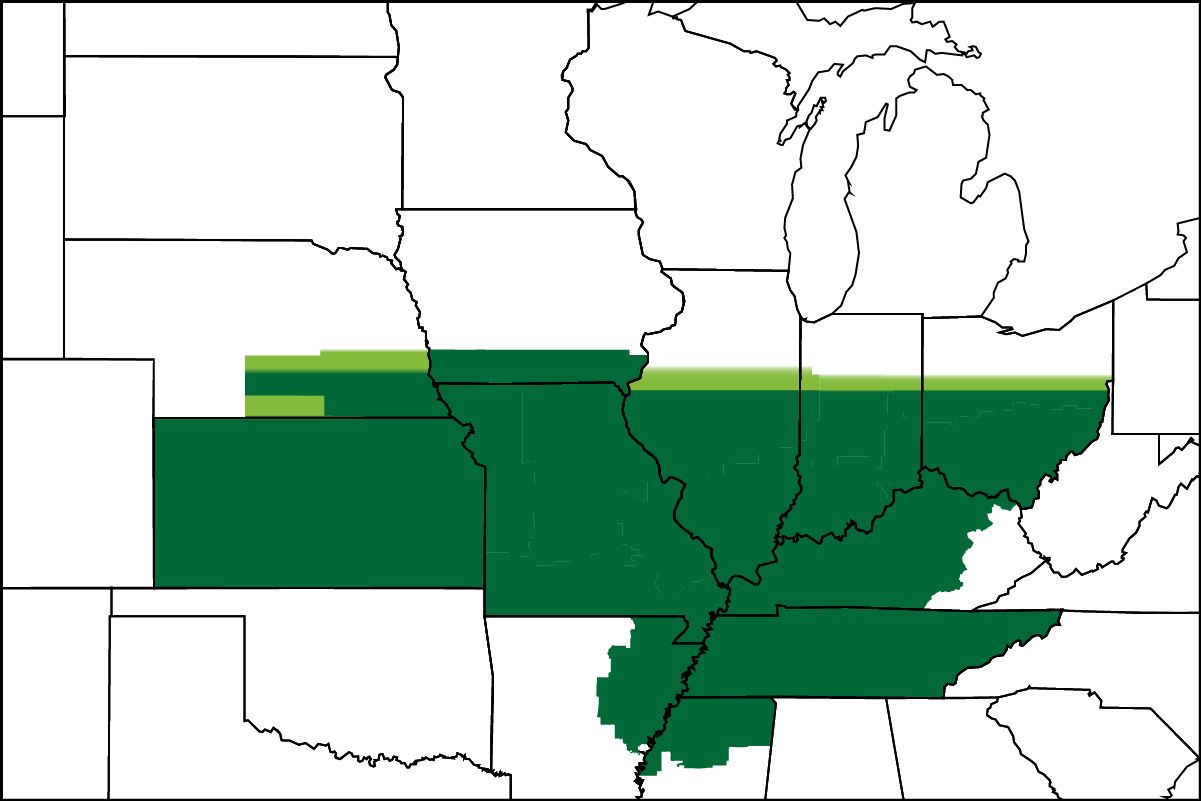 Area of Adaption Image