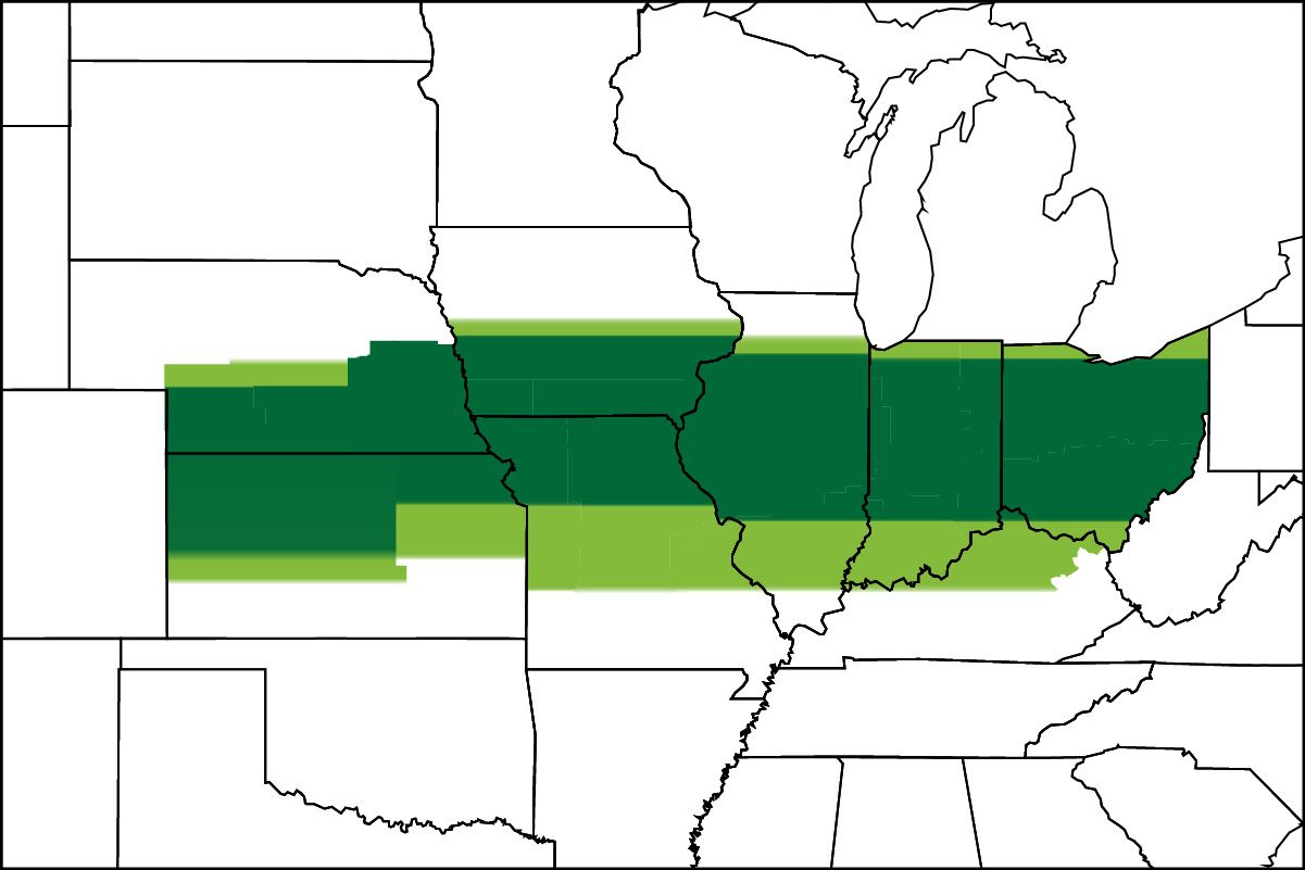 Area of Adaption Image