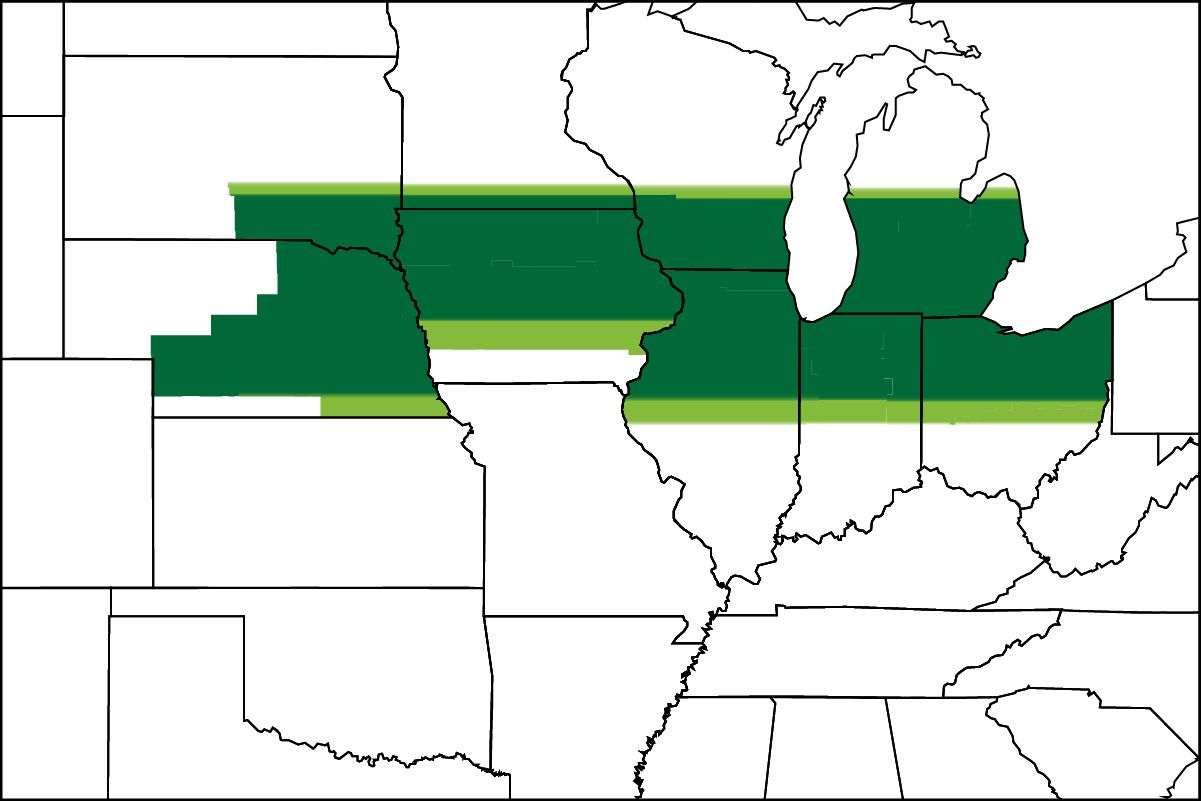 Area of Adaption Image