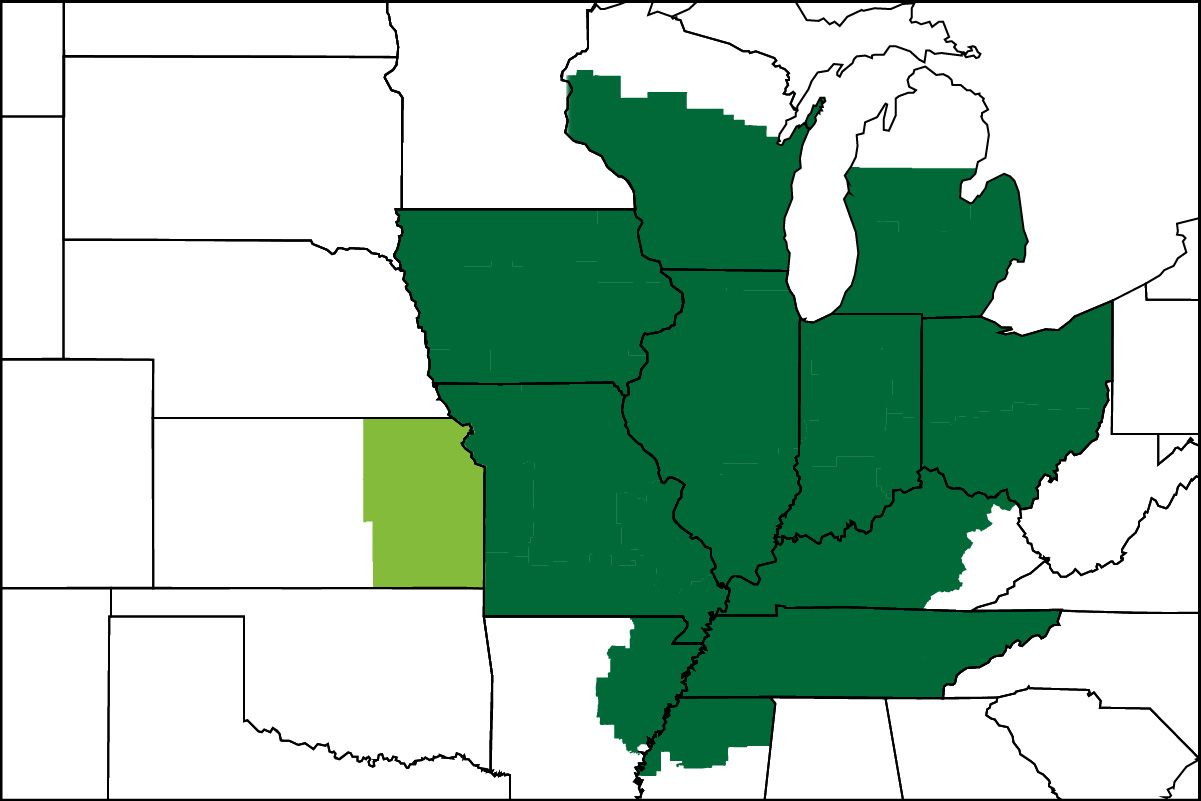 Area of Adaption Image