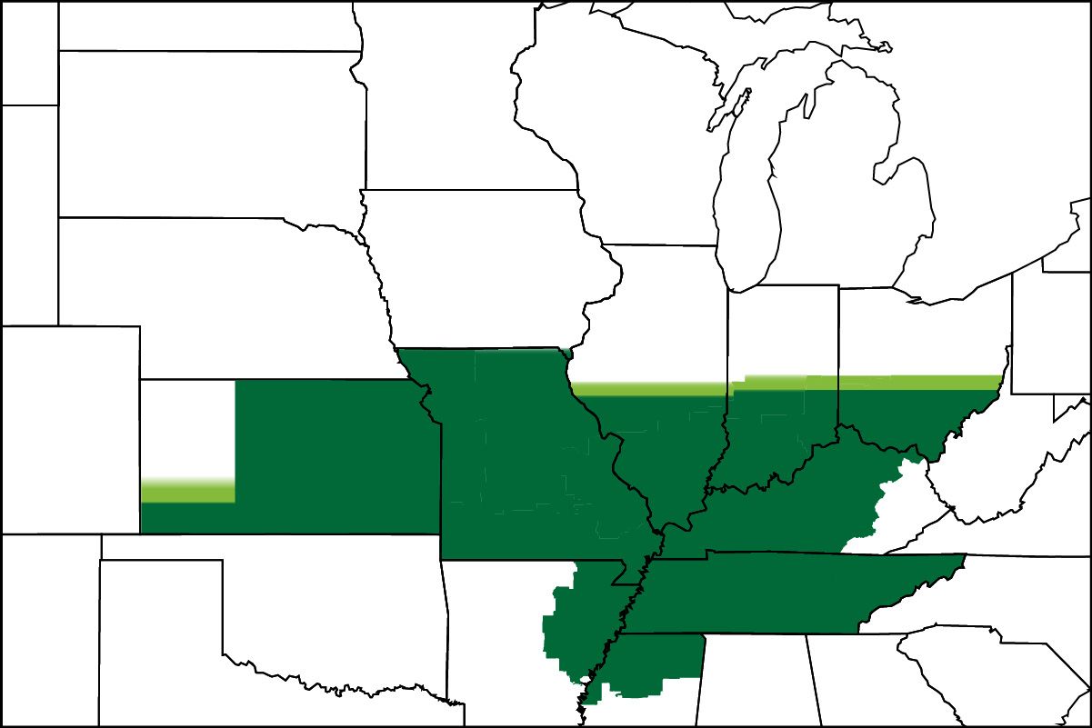 Area of Adaption Image