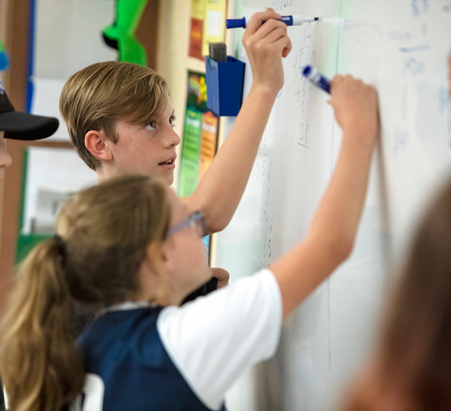 Middle School Options