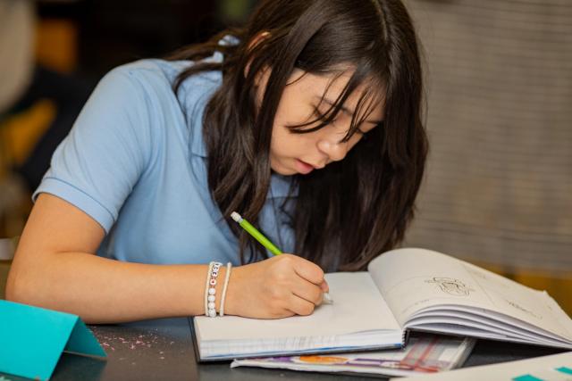 Middle School Options