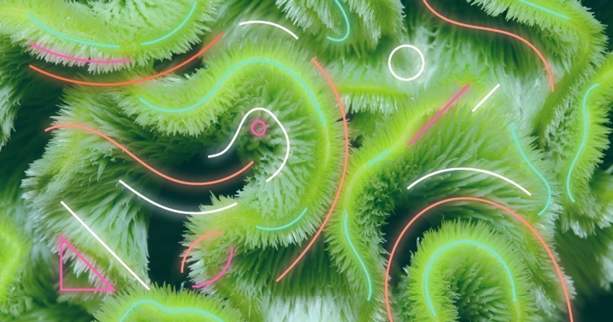 Elasticsearch and LangChain: unlocking the potential of large language models (LLMs ...