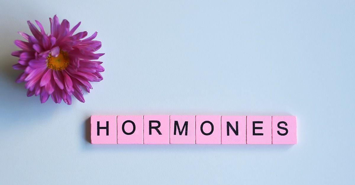 Why The Endocrine System is So Important for Women