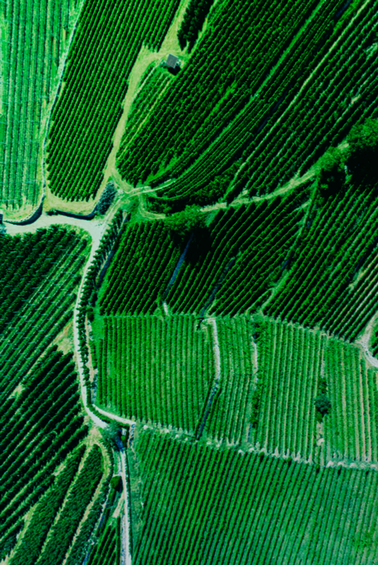 Visolis - Reinventing how the world makes materials