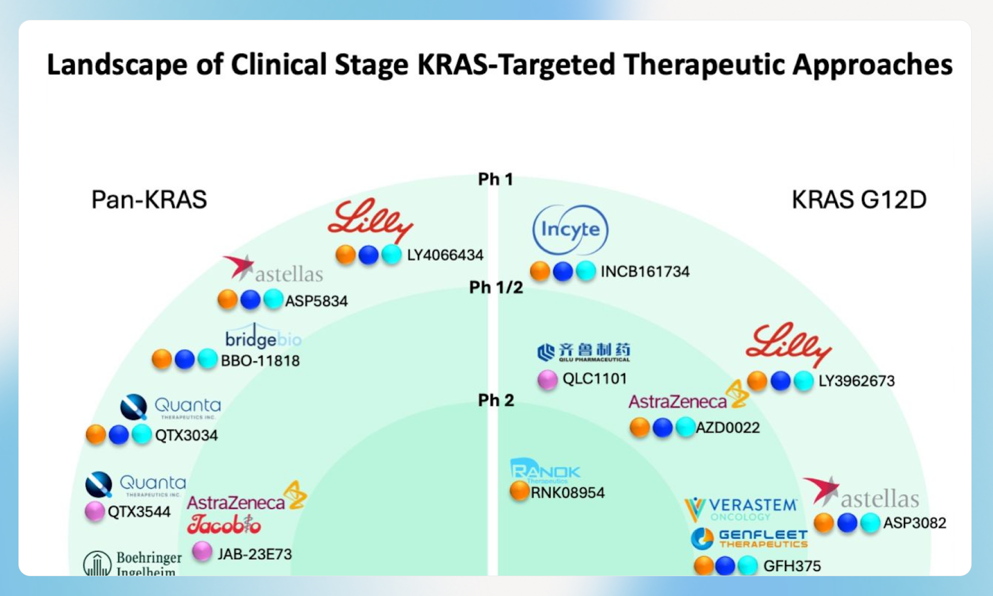 Clinical-Stage KRAS Therapeutics: How G12D and Pan-KRAS Strategies Are ...