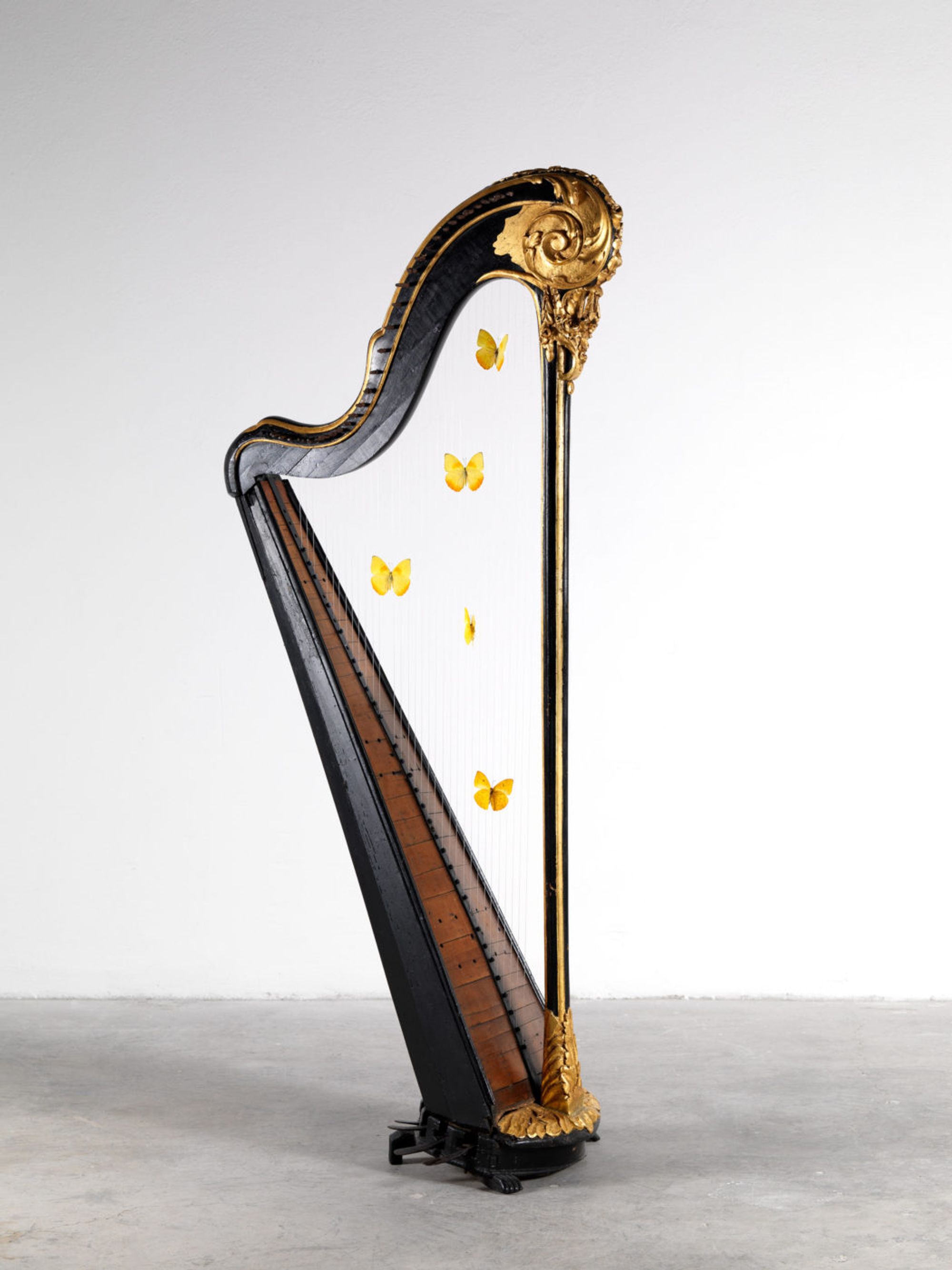 Claudio Parmiggiani — BORTOLAMI