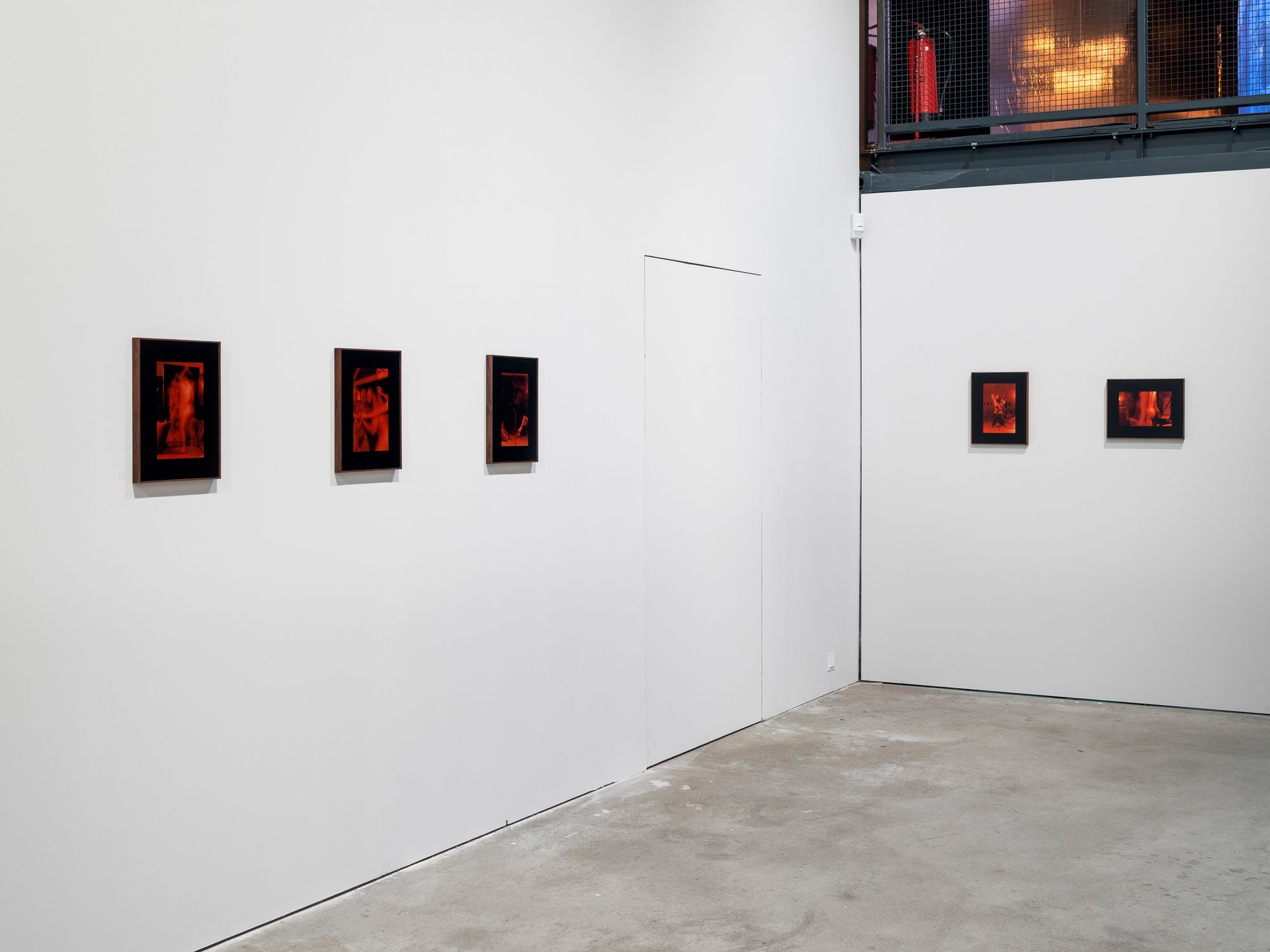 Daylight Studio / Dark Room Studio — BORTOLAMI