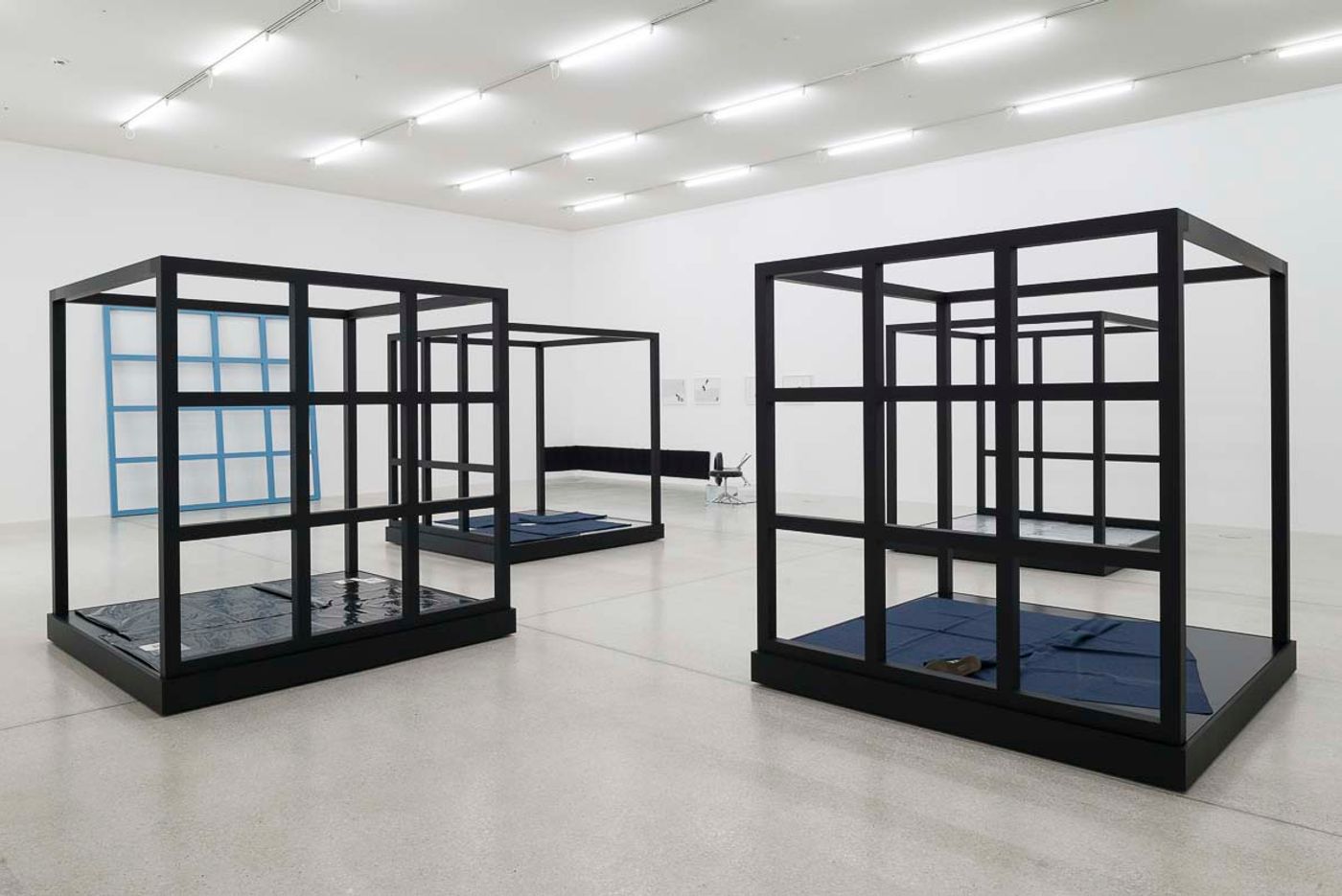 Tom Burr — BORTOLAMI