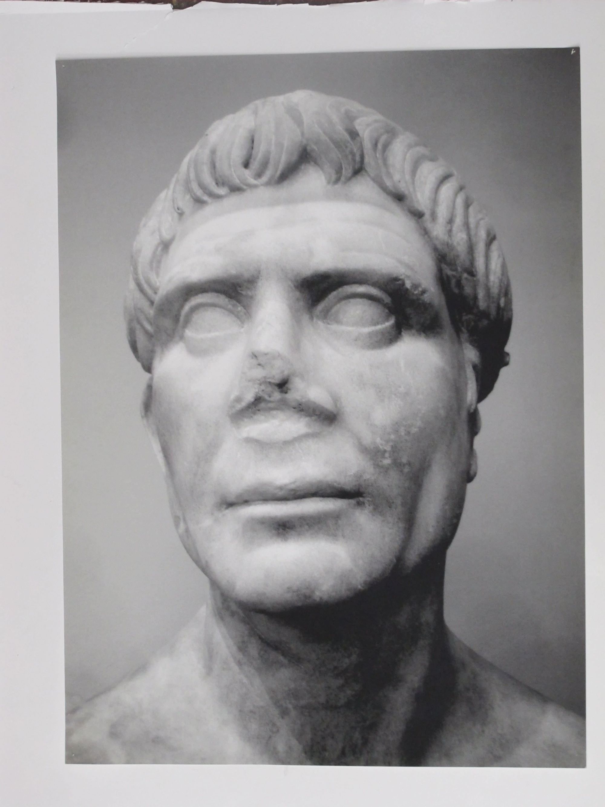Nicolás Guagnini — BORTOLAMI