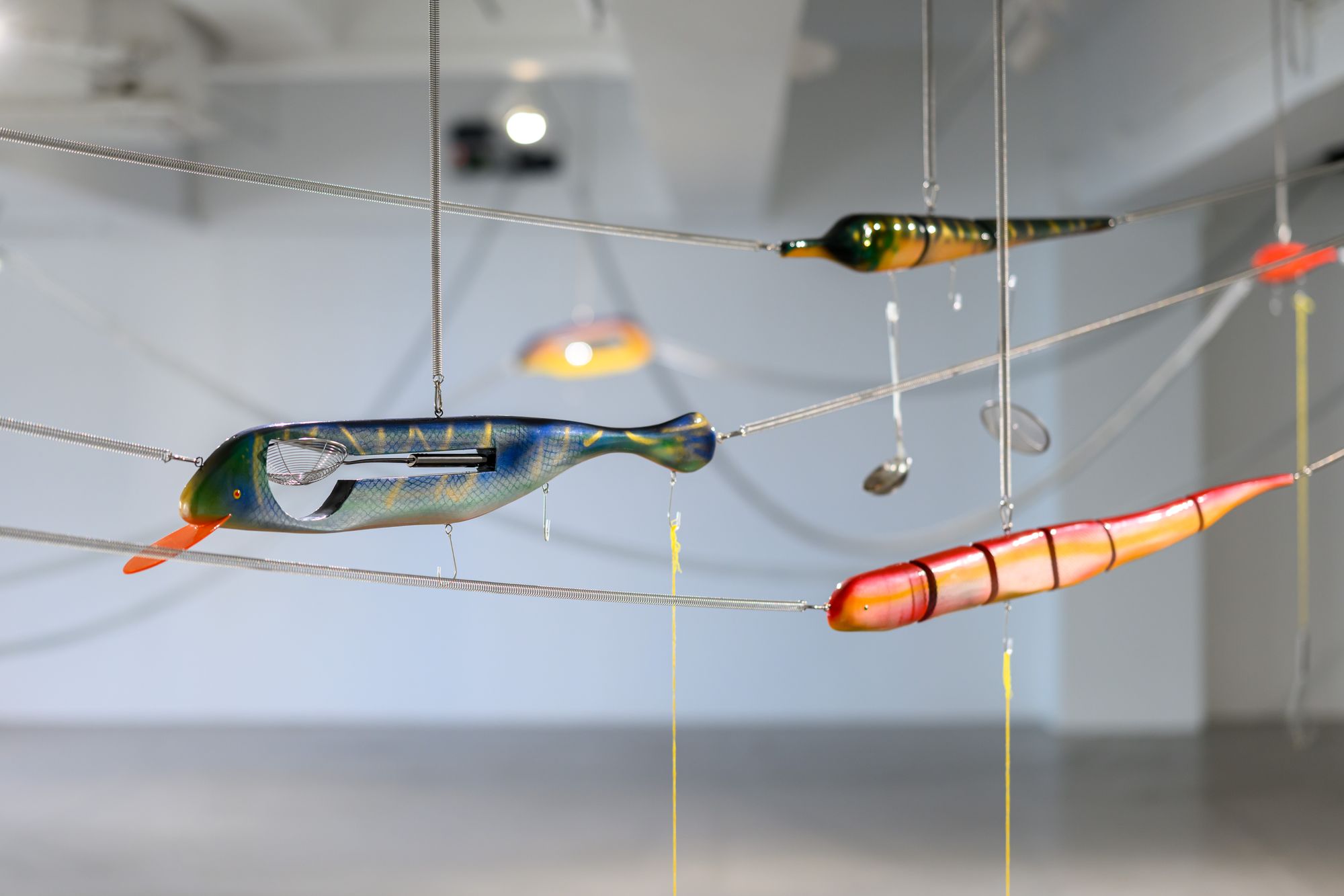 Sounding Lines — BORTOLAMI