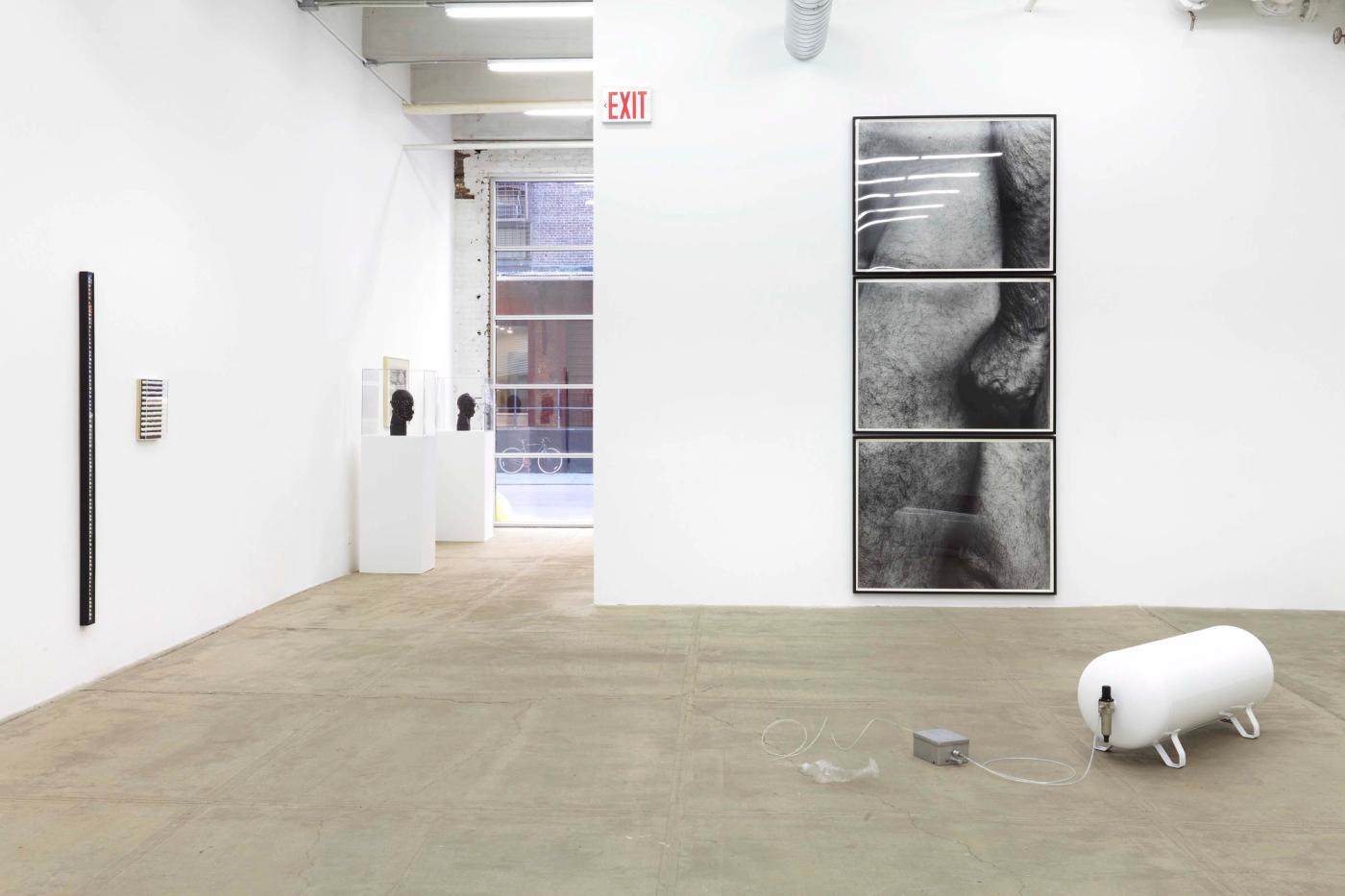 A Chromatic Loss, Curated by Jeffrey Uslip — BORTOLAMI