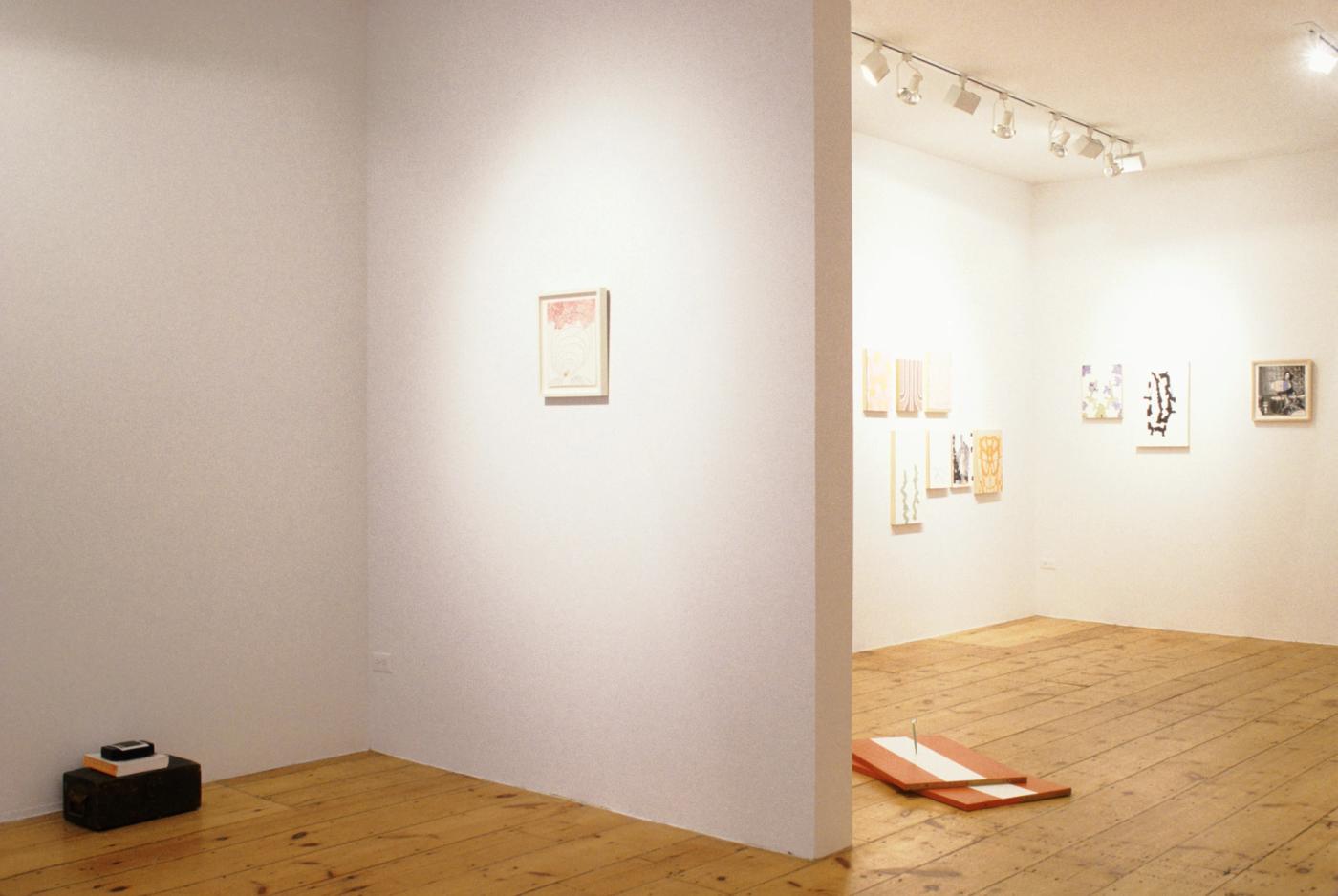 Richard Aldrich — BORTOLAMI