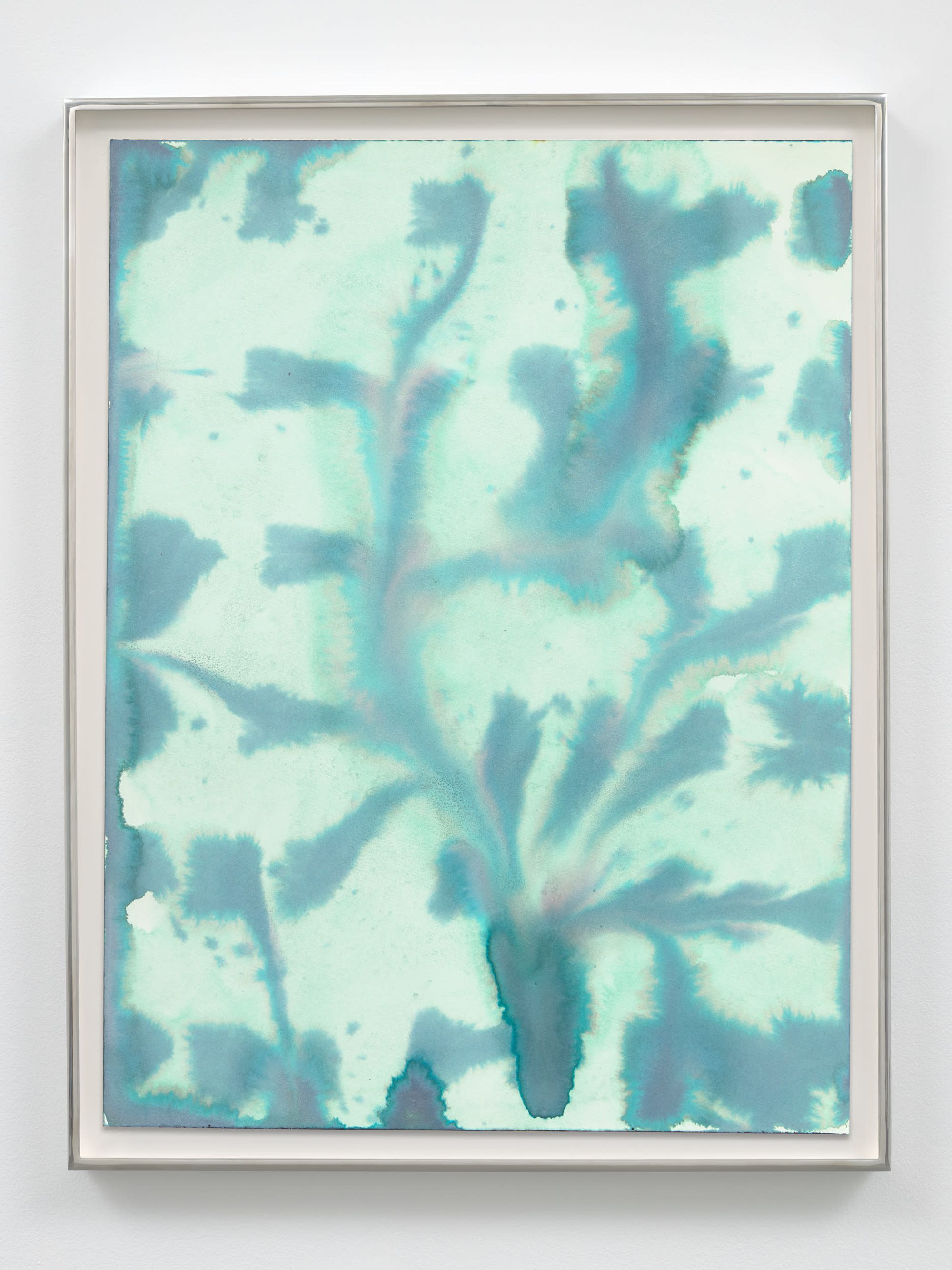 Rebecca Morris — BORTOLAMI