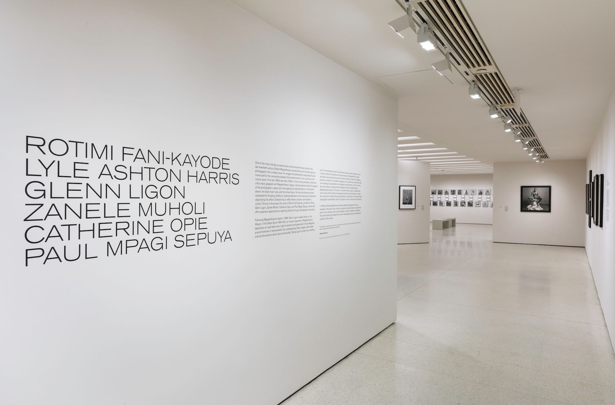 Implicit Tensions: Mapplethorpe Now — BORTOLAMI