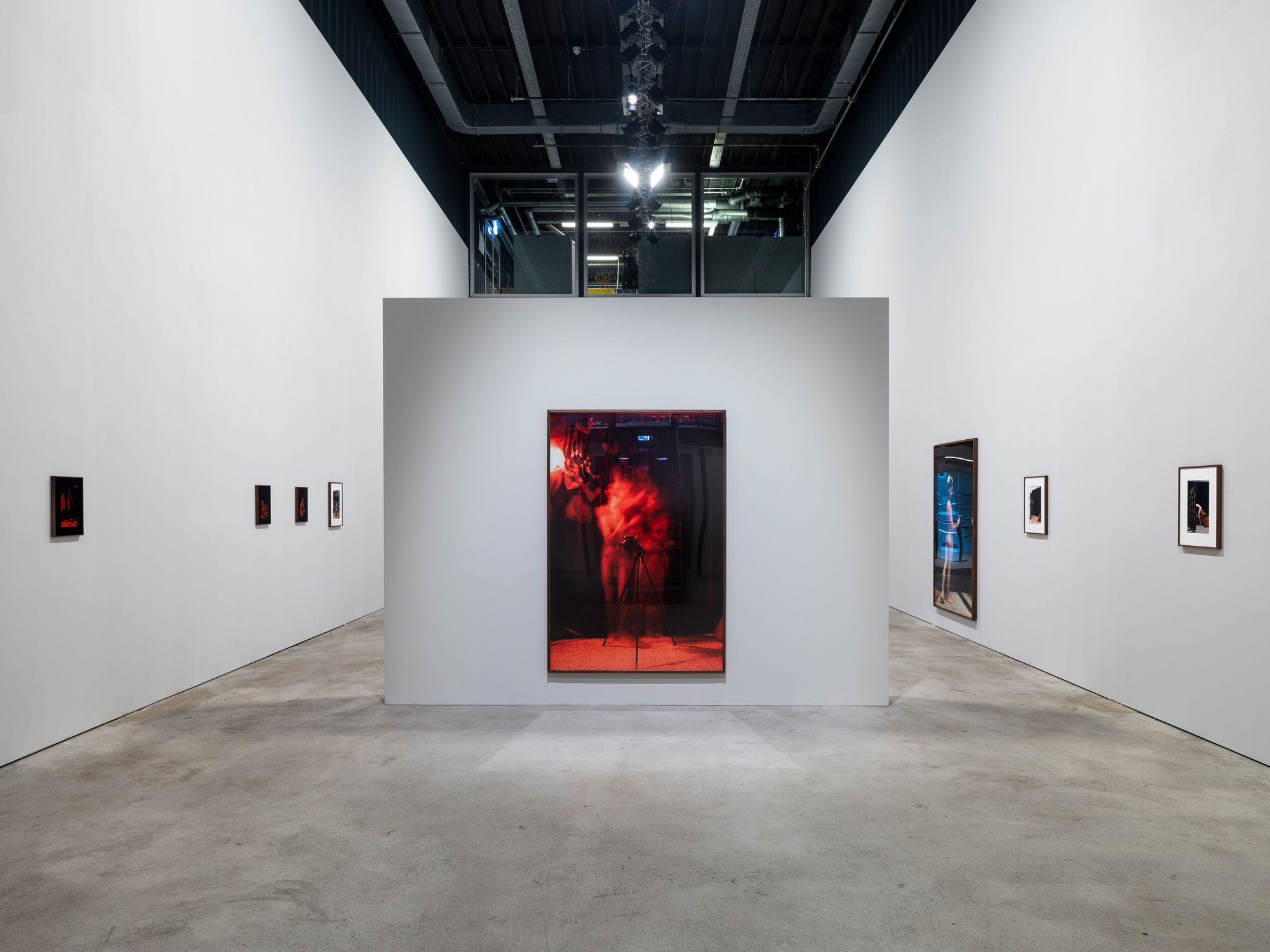 Daylight Studio / Dark Room Studio — BORTOLAMI