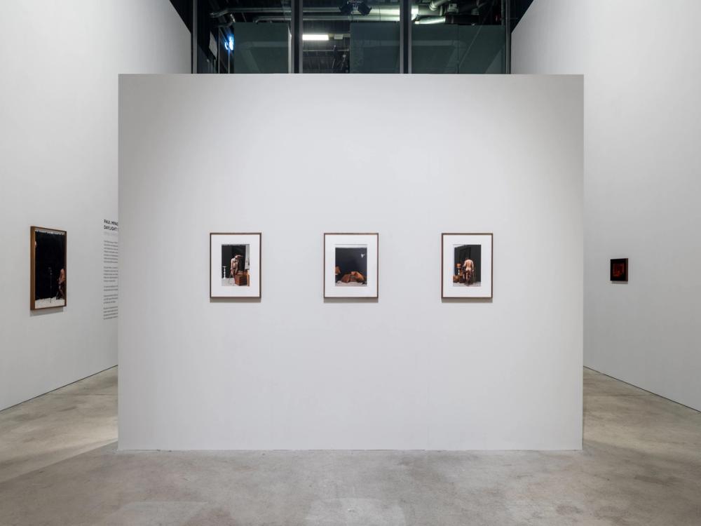 Daylight Studio / Dark Room Studio — BORTOLAMI