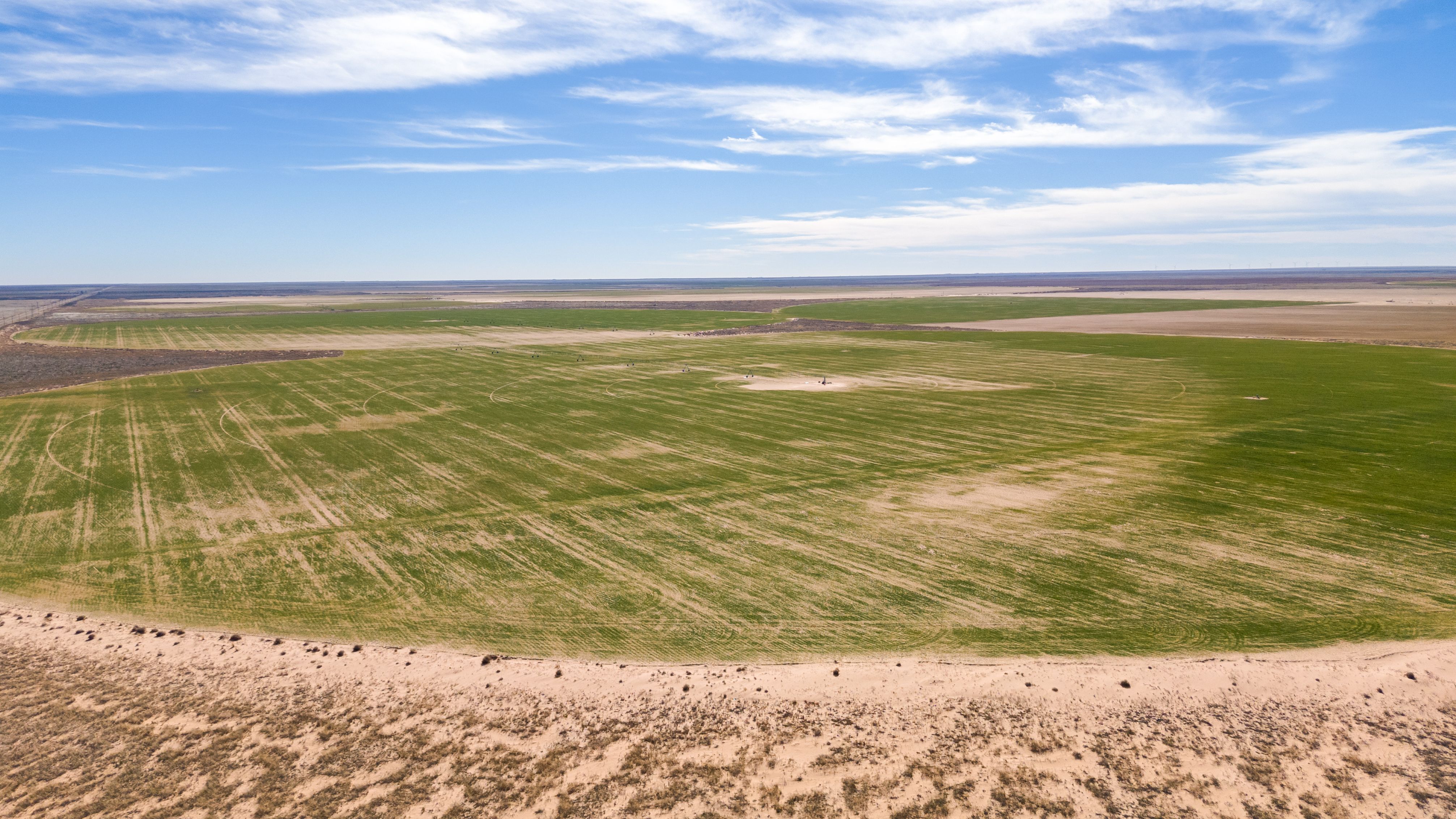 Lea County Organic Farm | Simpson Ranches & Land